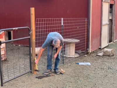 Common Goat Hoof Problems - Goat Journal
